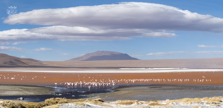 Découvrir une autre planète avec le Grand tour du Sud Lipez et du Salar ...